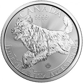 2018 Canadian Silver Wolf Coin - RCM Predator Series