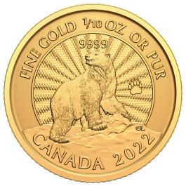 2022 1/10 oz Majestic Polar Bear Gold Coin | SD Bullion