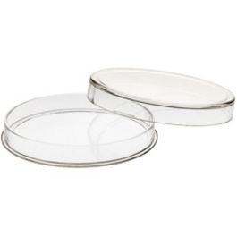 Buy 34 mm Air-Tite Case | SD Bullion