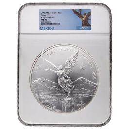 Buy 2025 NGC MS-70 Early Releases Kilo Mexican Silver Libertad Coin ...