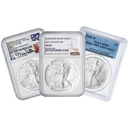 Buy NGC/PCGS MS/SP-69 1 oz American Silver Eagle Burnished Coin ...